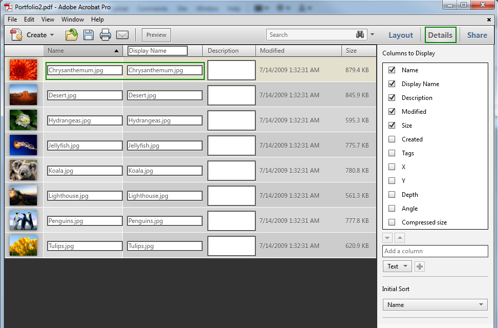 Publishing your Acrobat Portfolio - click to expand.
