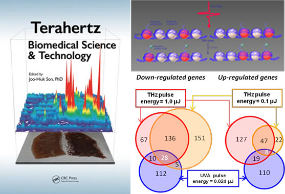 WPI - THz Physics Lab