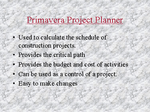 Primavera Project Planner